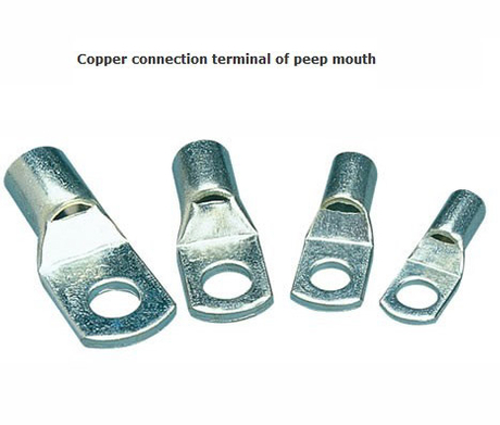 China SC Copper connection terminal of peep mouth, SC Copper connection ...
